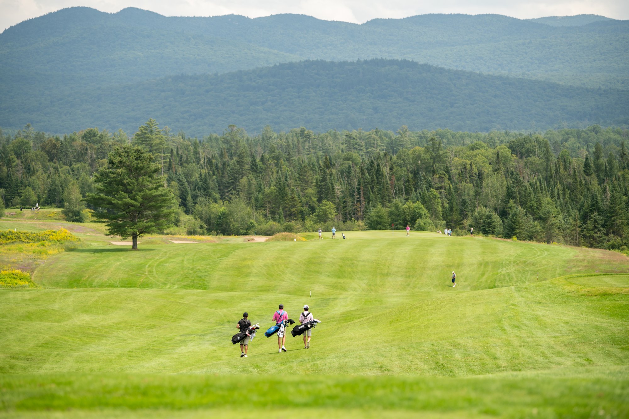 NYSGA - Get a Handicap Index